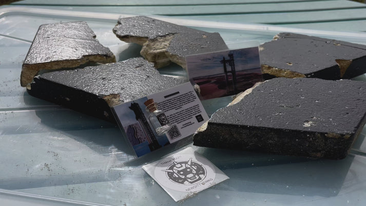 SpaceX Starship Heat Shield Tile Collectible – NewDittySwag