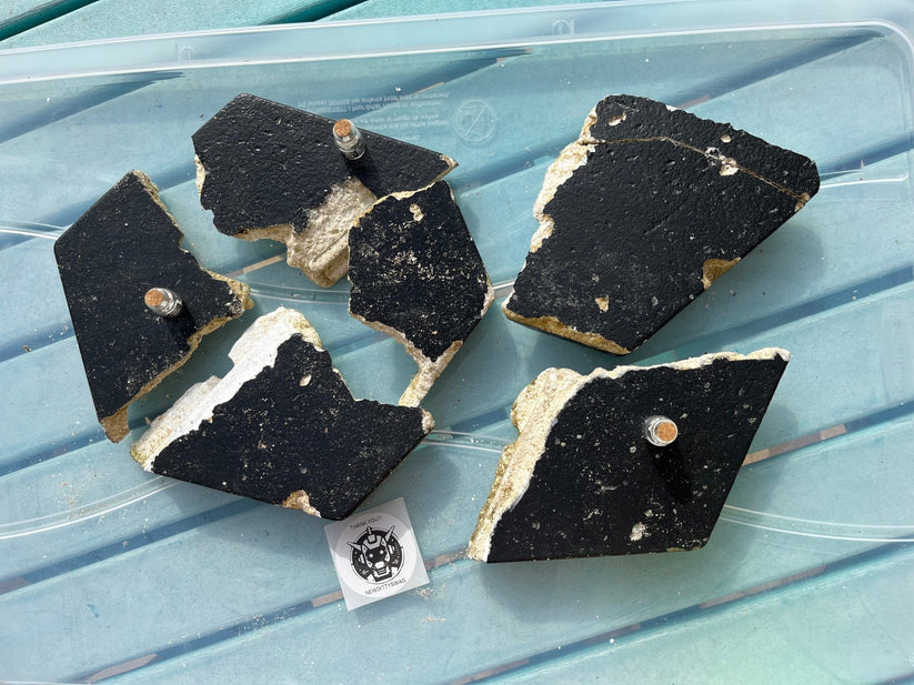 SpaceX Starship Heat Shield Tile Collectible – NewDittySwag